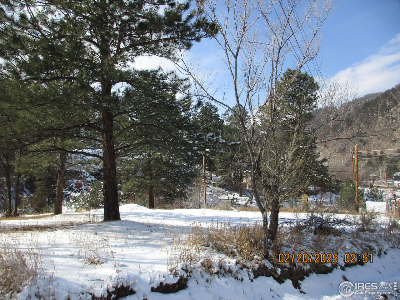 Bartram Park Rd • RE/MAX Town and Country